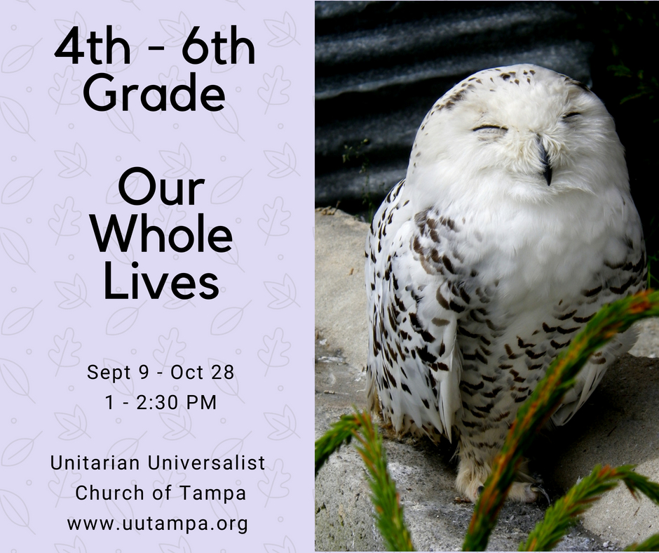 4 6 OWL Unitarian Universalist Church Of Tampa 4-6-owl-unitarian-universalist-church-of-tampa